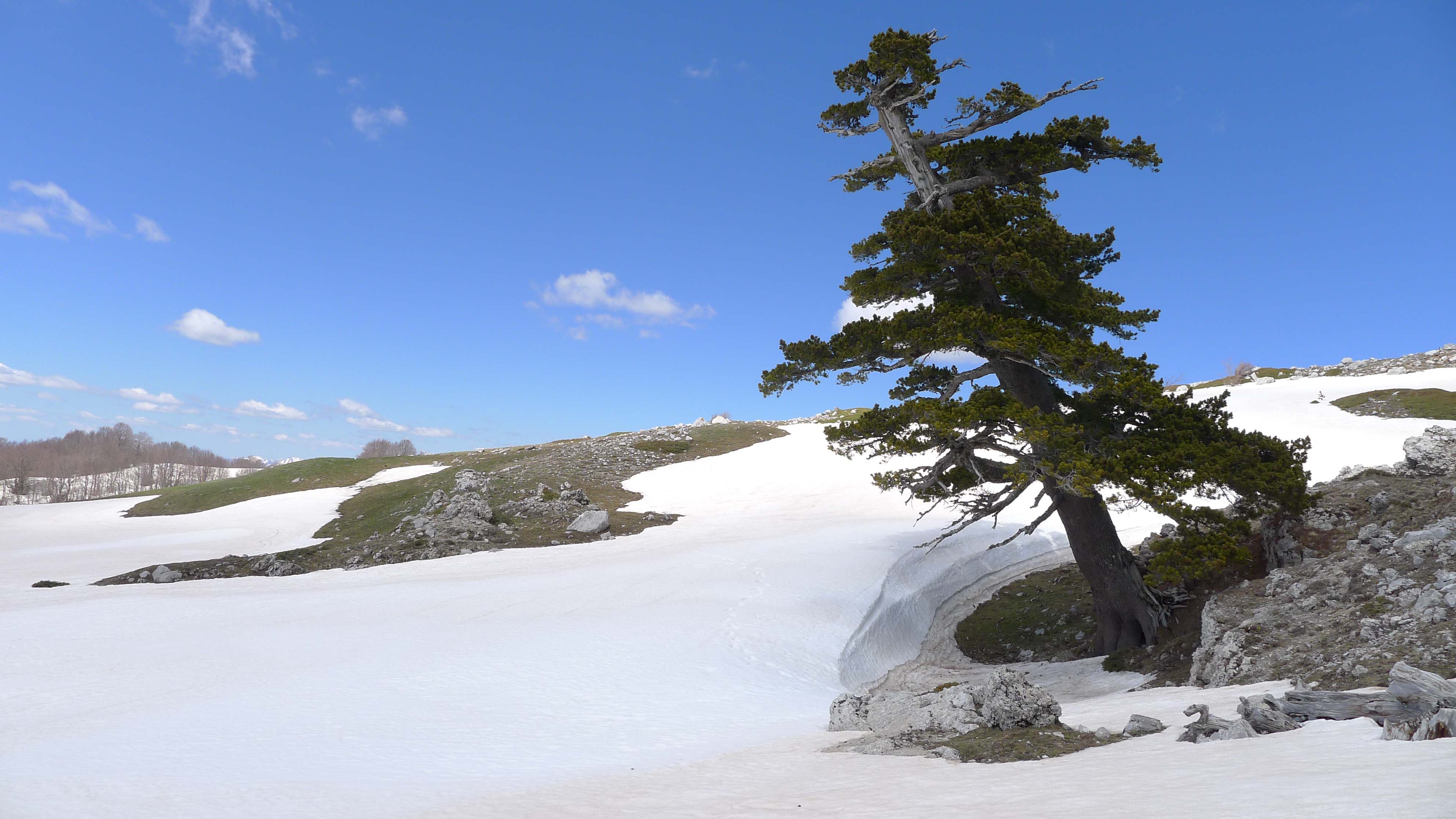 Pollino National Park | Escursioni nel Parco Nazionale del Pollino