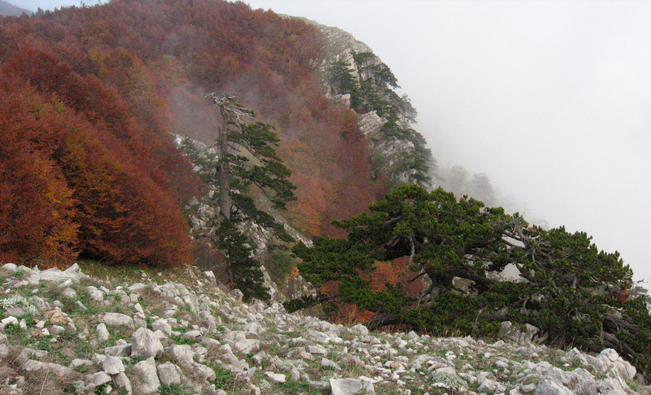 50LO. Timpone della Capanna | Escursioni nel Parco Nazionale del Pollino